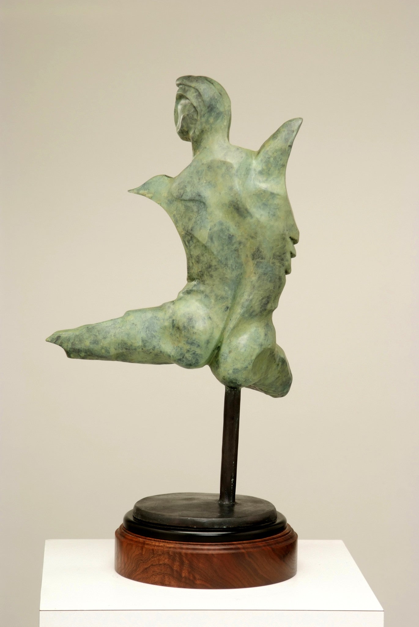 "The Leap" – Icon Artworks